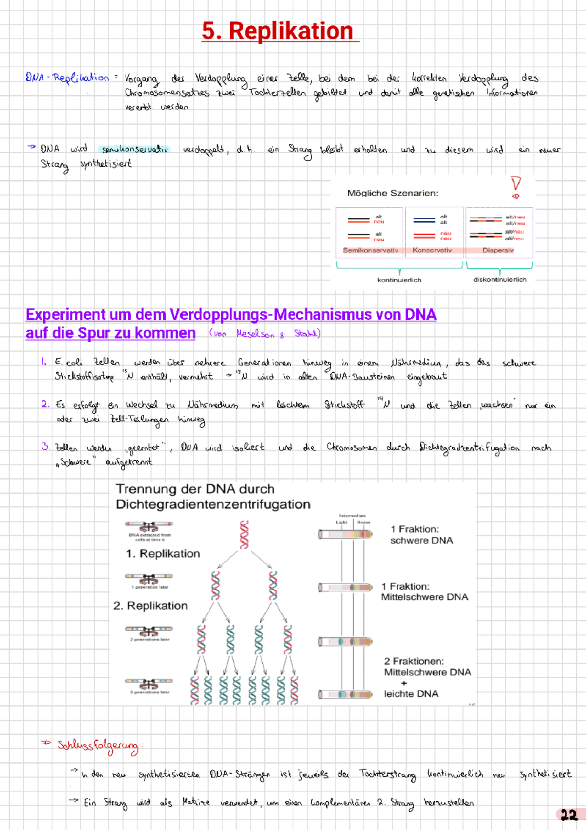 5. Replikation - Zusammenfassung Genetik - 5. Replikation Vorgang des ...