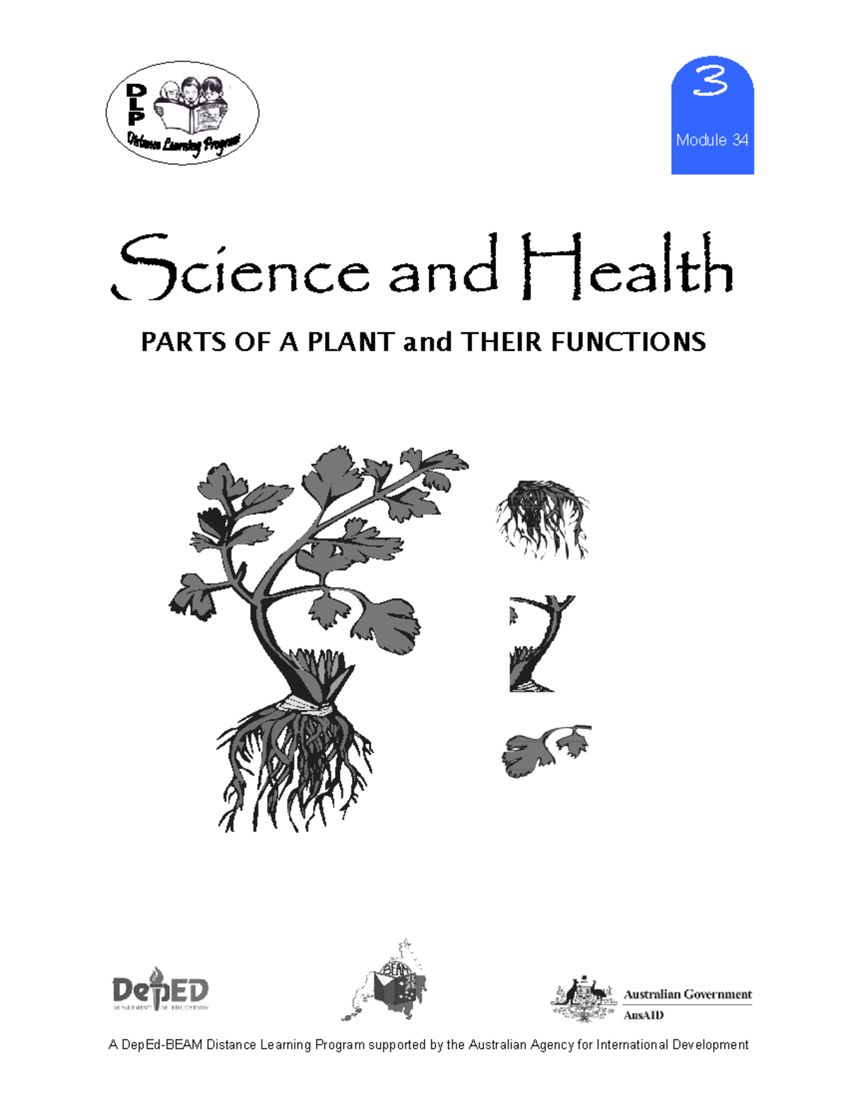 Science 3 DLP 34 - Parts of a plant and their functions - Science and ...