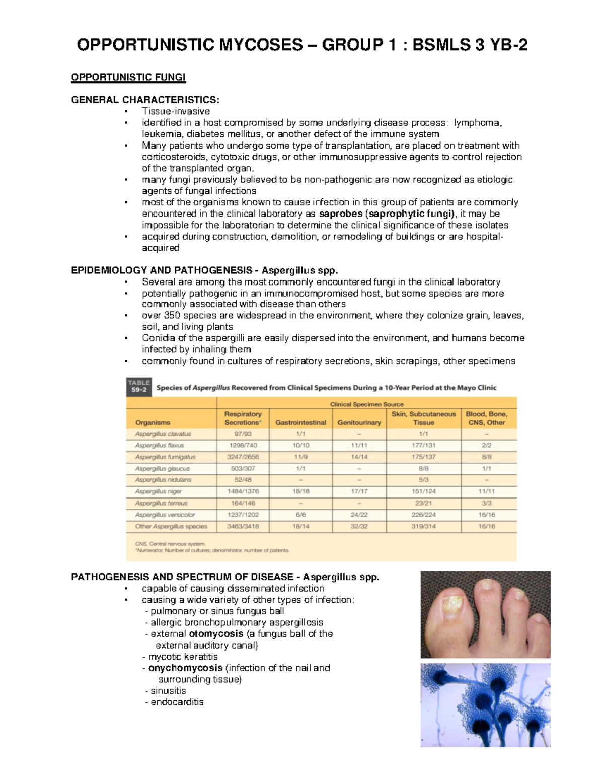 MycologyAndVirology_Week4 - OPPORTUNISTIC FUNGI GENERAL CHARACTERISTICS ...