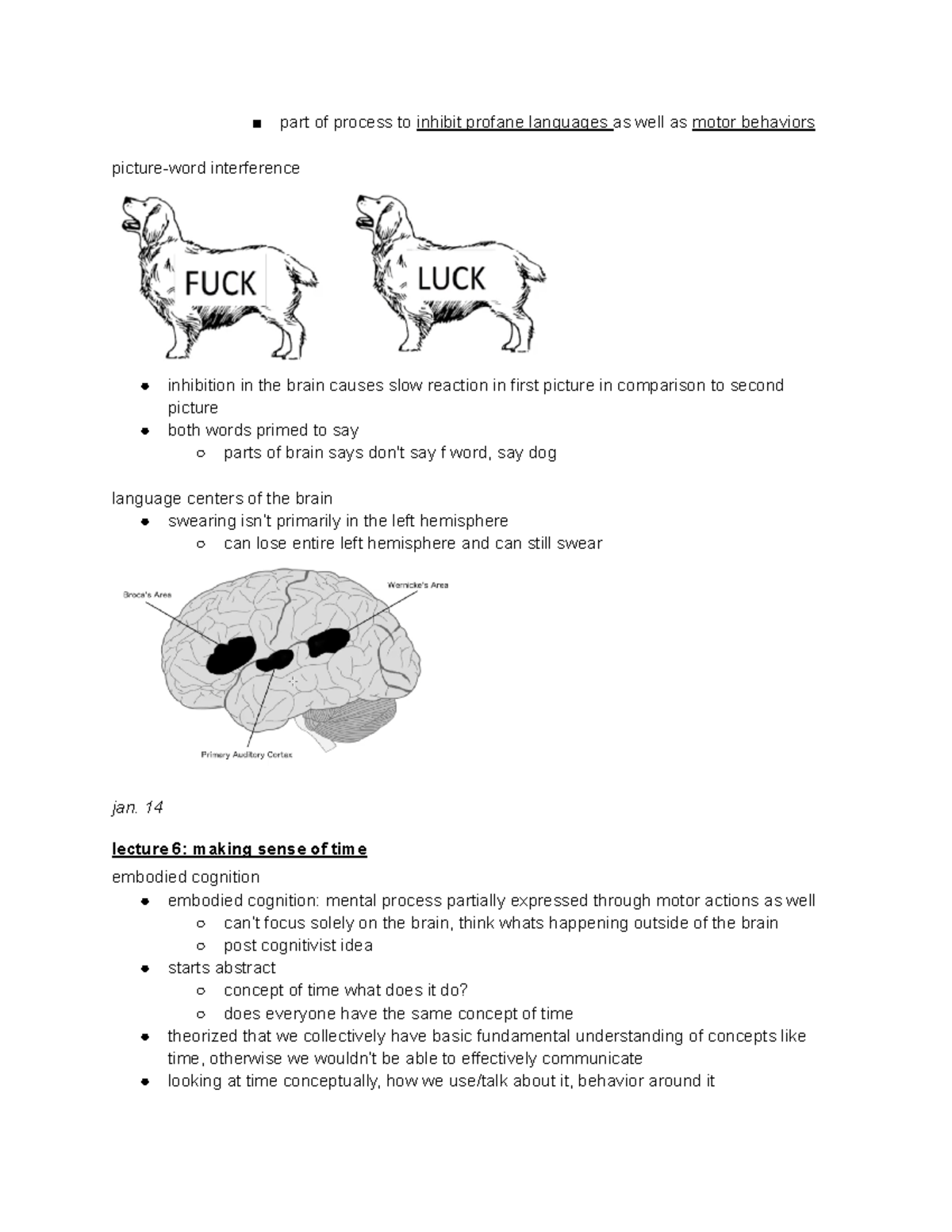 Cogs 1 Intro To Cognitive Science Lecture 11 11 Part Of Process To Inhibit Profane Languages