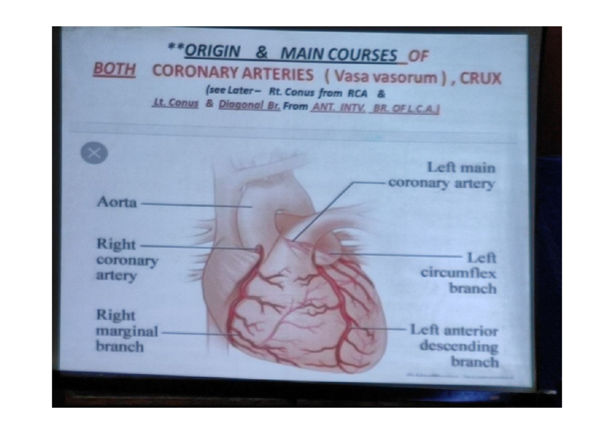 Arterial supply of heart part 1 - MAIN COURSES OF BOTH CORONARY ...