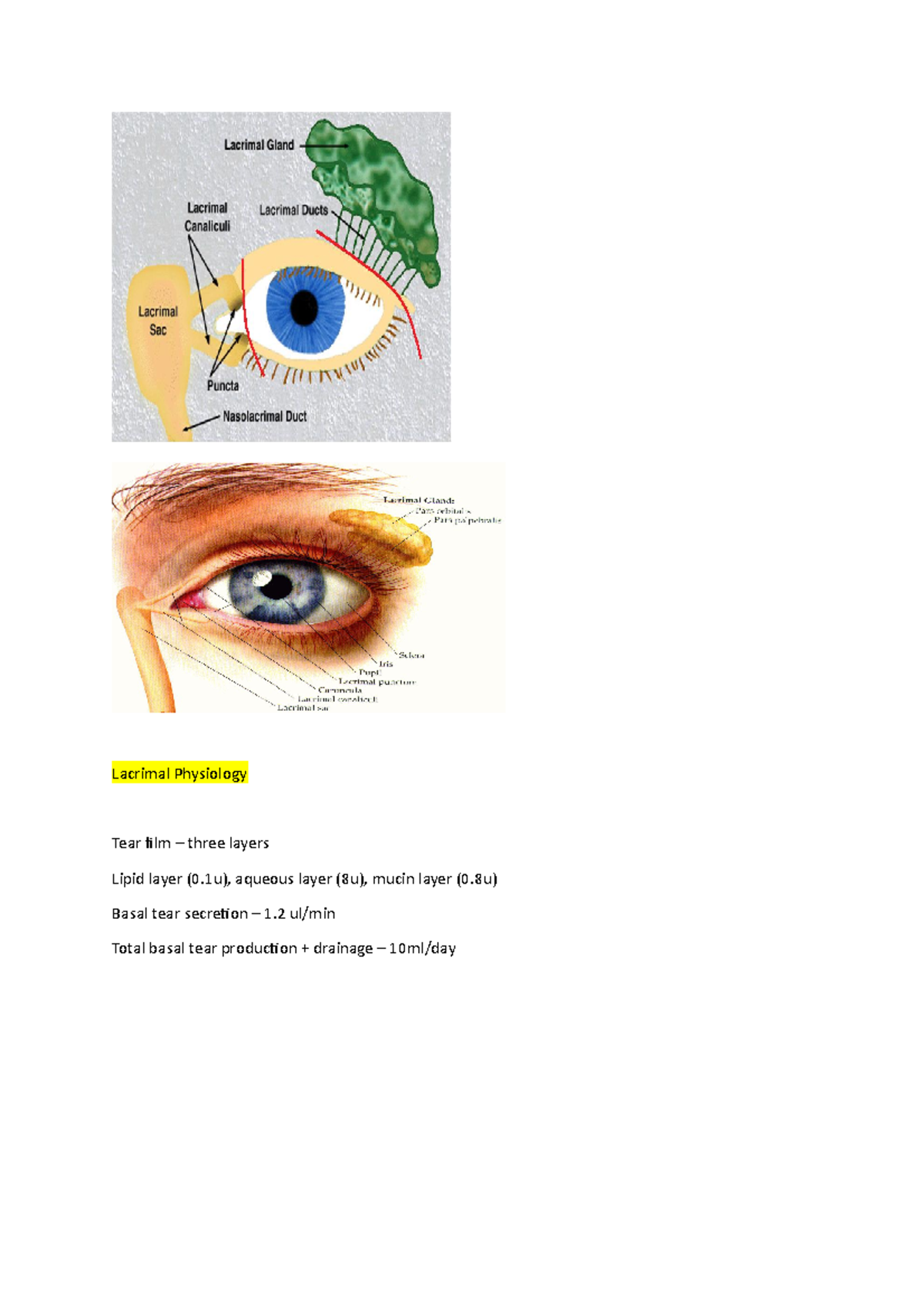 Lacrimal system 1 - Helpful - Lacrimal Physiology Tear film – three ...