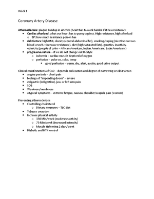 ANA Code of Ethics for Nurses - American Nurses Association Code of ...