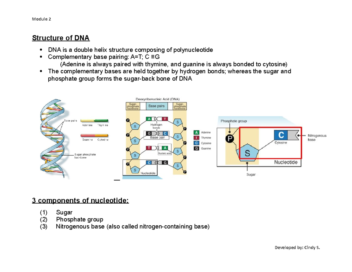 Module 2 Exam Prep Booklet - Studocu