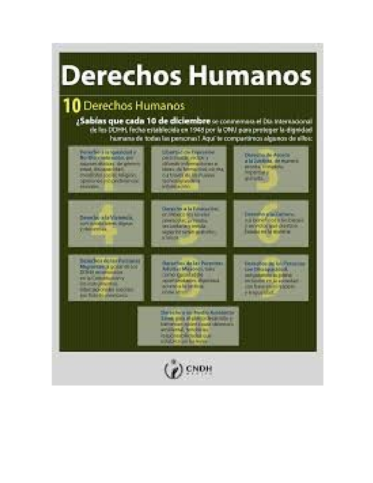 Drechos humanos - puntos básicos a del derecho - Derechos Humanos 10 ...