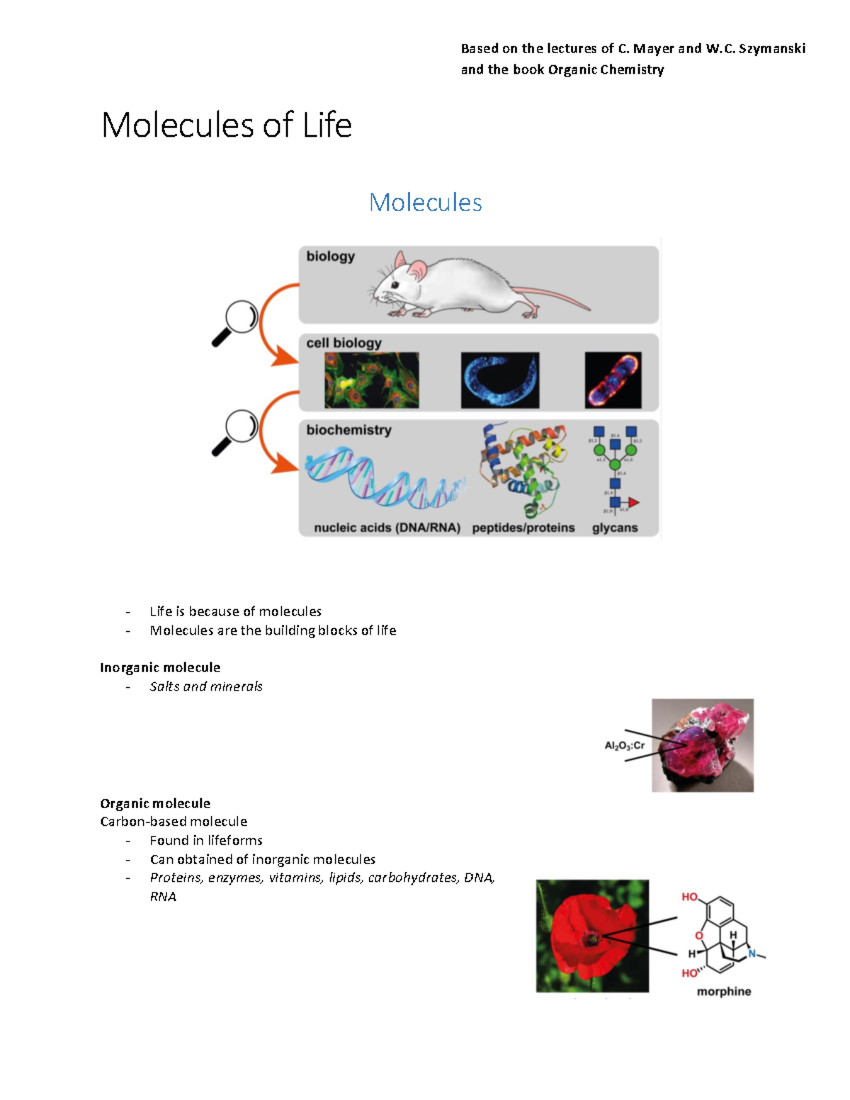 Molecules of Life Molecules - Warning: TT: undefined function: 32 Warning: TT: undefined ...