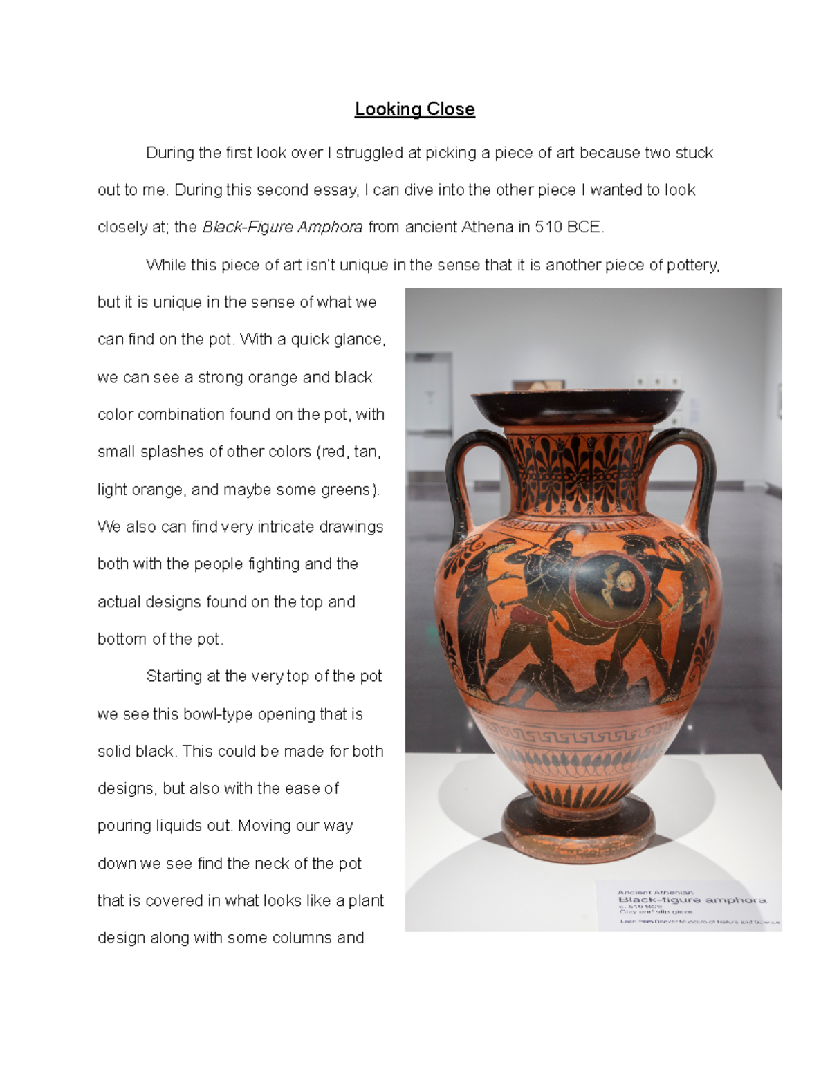 Extra Credit Writing, Chy Evenson - Looking Close During the first look ...