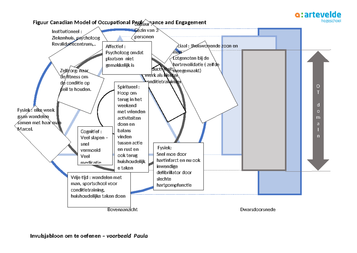 Cmop E Figuur Casus Paula Figuur Canadian Model Of Occupational