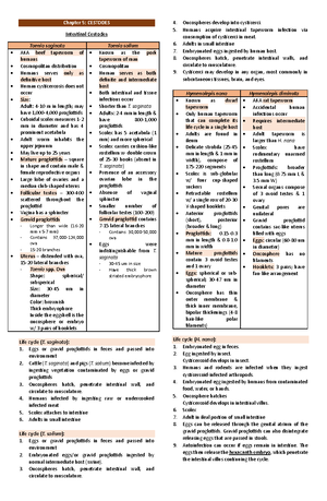 Session Plan on Setting Up Computer Netwrok - Computer System Servicing NCII Setting – Up ...