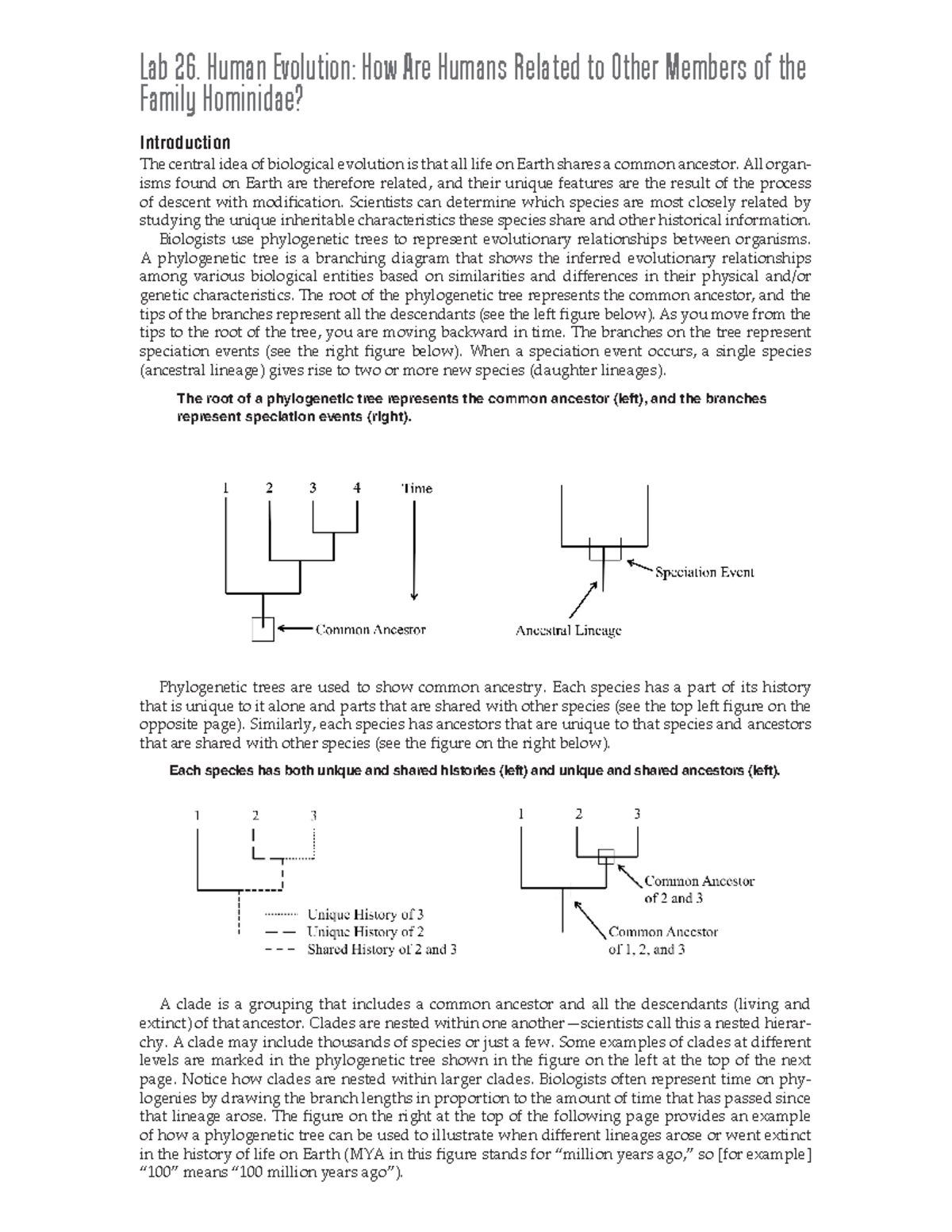 Lab26Student Handout-Human Evolution - Lab 26. Human Evolution: How Are ...