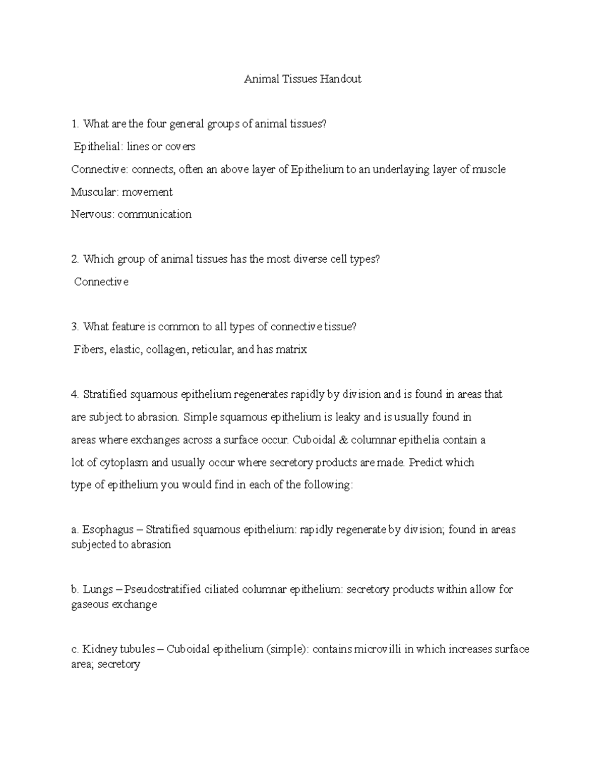 Animal Tissues Handout - Animal Tissues Handout What are the four ...