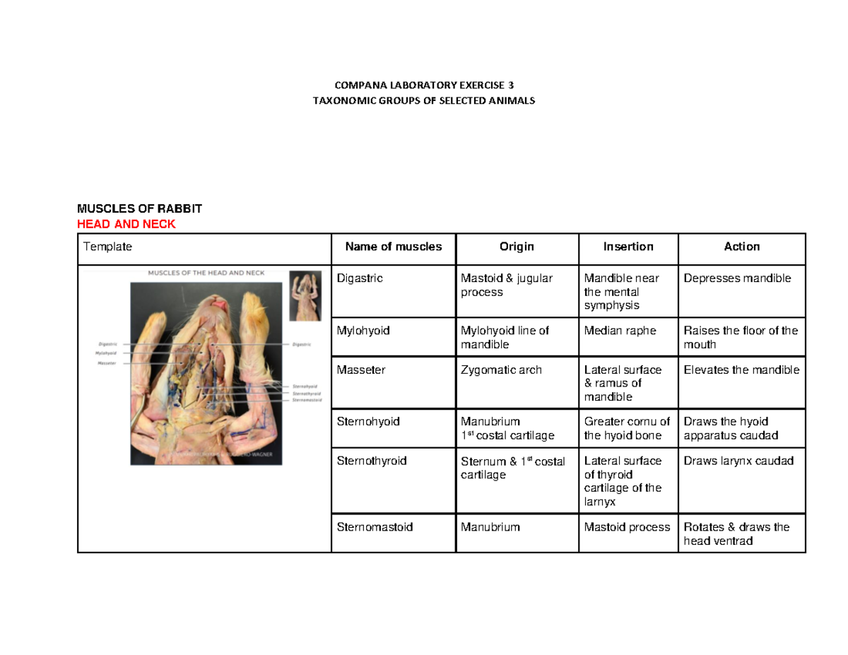 Lbbbio 3 LAB Exercise 3 - COMPANA LABORATORY EXERCISE 3 TAXONOMIC ...