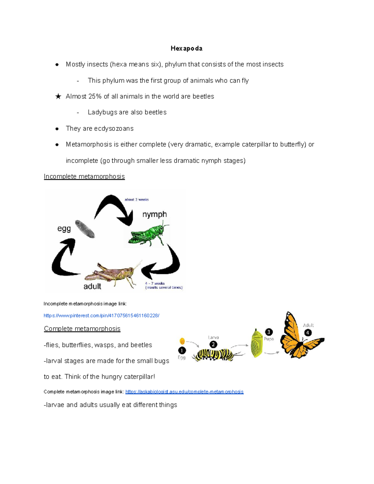 Bio 1300 Chapter 34 continued - Hexapoda Mostly insects (hexa means six ...