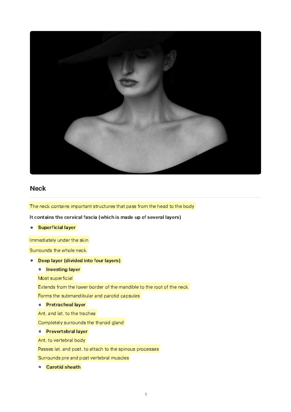 Neck - Neck - Neck The neck contains important structures that pass ...