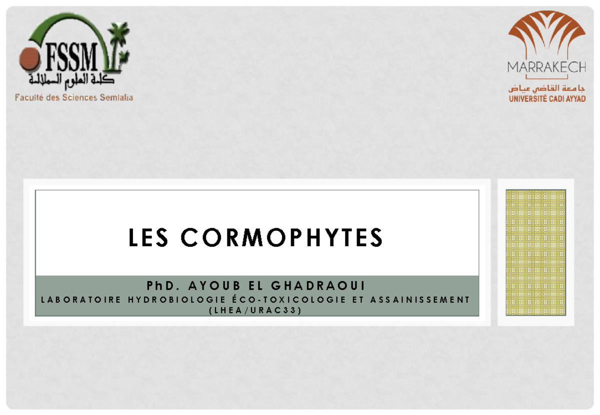 LES CORMOPHYTES - LES CORMOP H YT E S P h D. A Y O U B E L G H A D R A ...