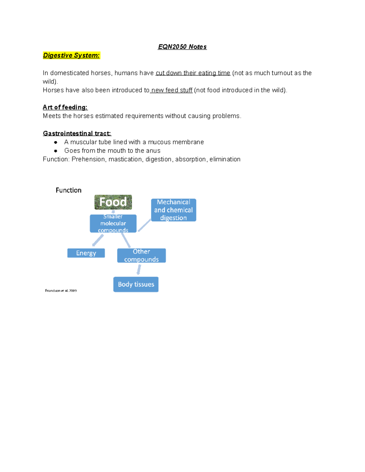 EQN2050 Notes - EQN2050 Notes Digestive System: In domesticated horses ...