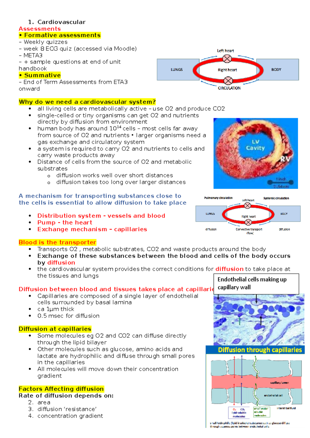 1 - .... - Cardiovascular Assessments Formative assessments Weekly ...