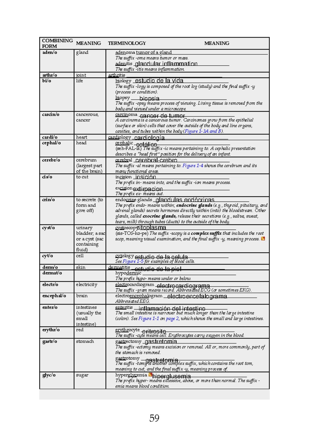 Trabajo Inglés Definiciones - COMBINING FORM MEANING TERMINOLOGY ...