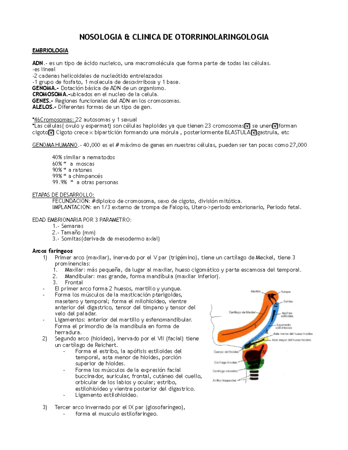 Otorrino - resumenes de clase - Warning: Error during font loading: XMLHttpRequest is not ...