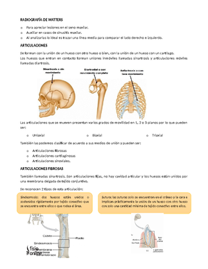 Primarya at Sekundaryang Batis - Primarya at Sekundaryang Batis Bahagi ...