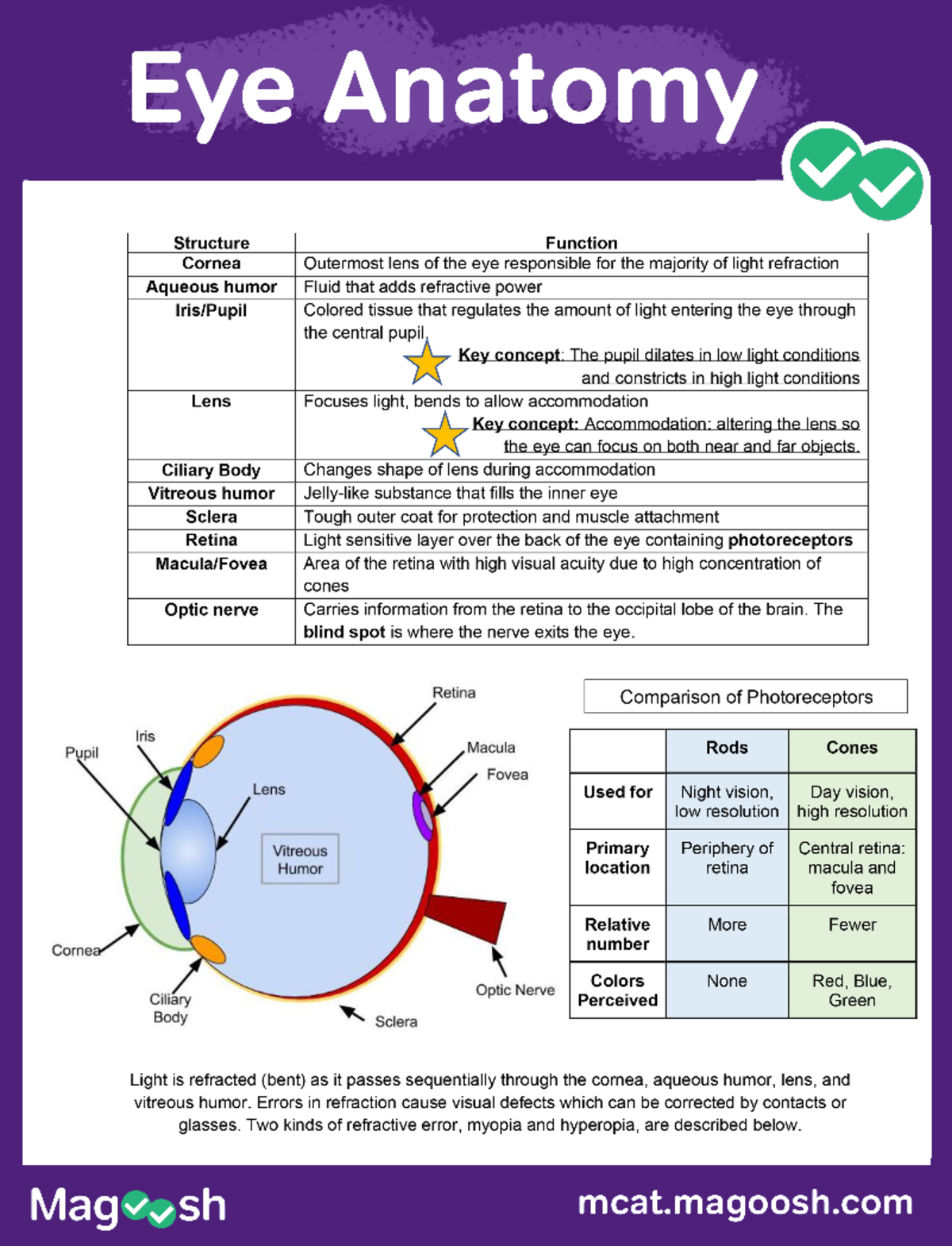 Eye anatomy - help you study for the MCAT and will aide in studies ...