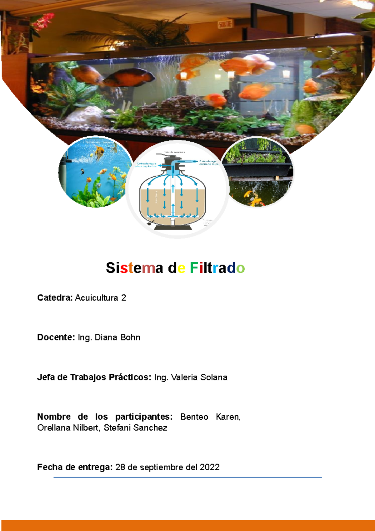 Protocolo de uso del filtro de arena - Acuicutura II 2022 - Sistema de ...