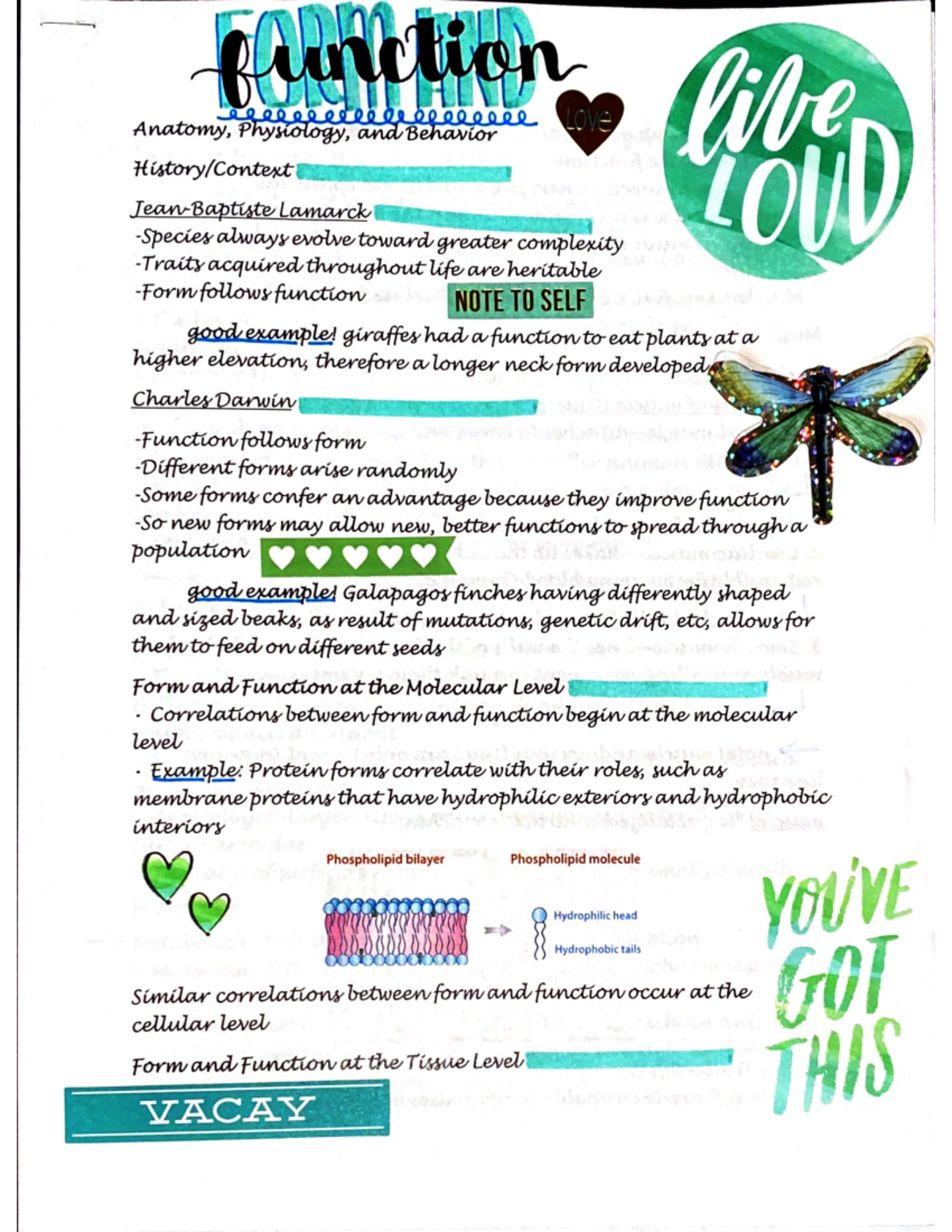 Gen Bio 3 Notes 11 - commition Anatomy, Physiology, and Behavior live ...