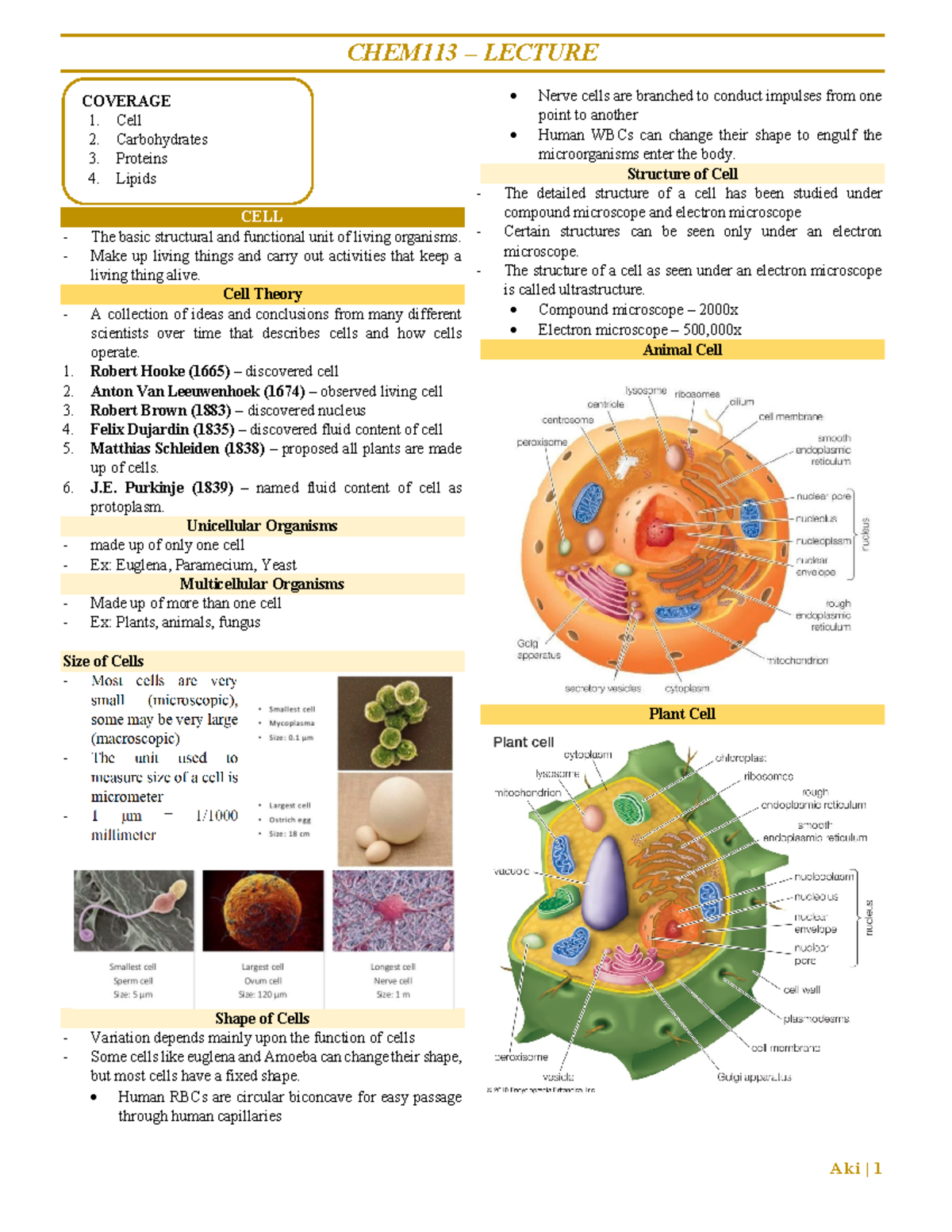 CHEM113-LEC️-1 notes studocu - CELL The basic structural and functional ...