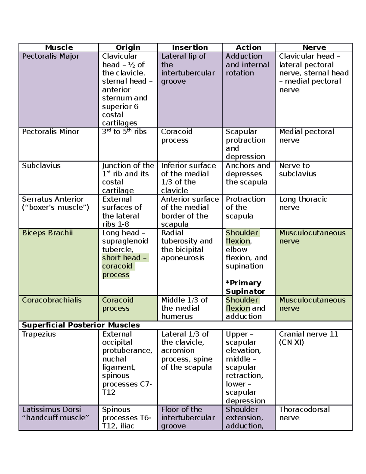 Shoulder Pt. 2 muscle chat - Muscle Origin Insertion Action Nerve ...