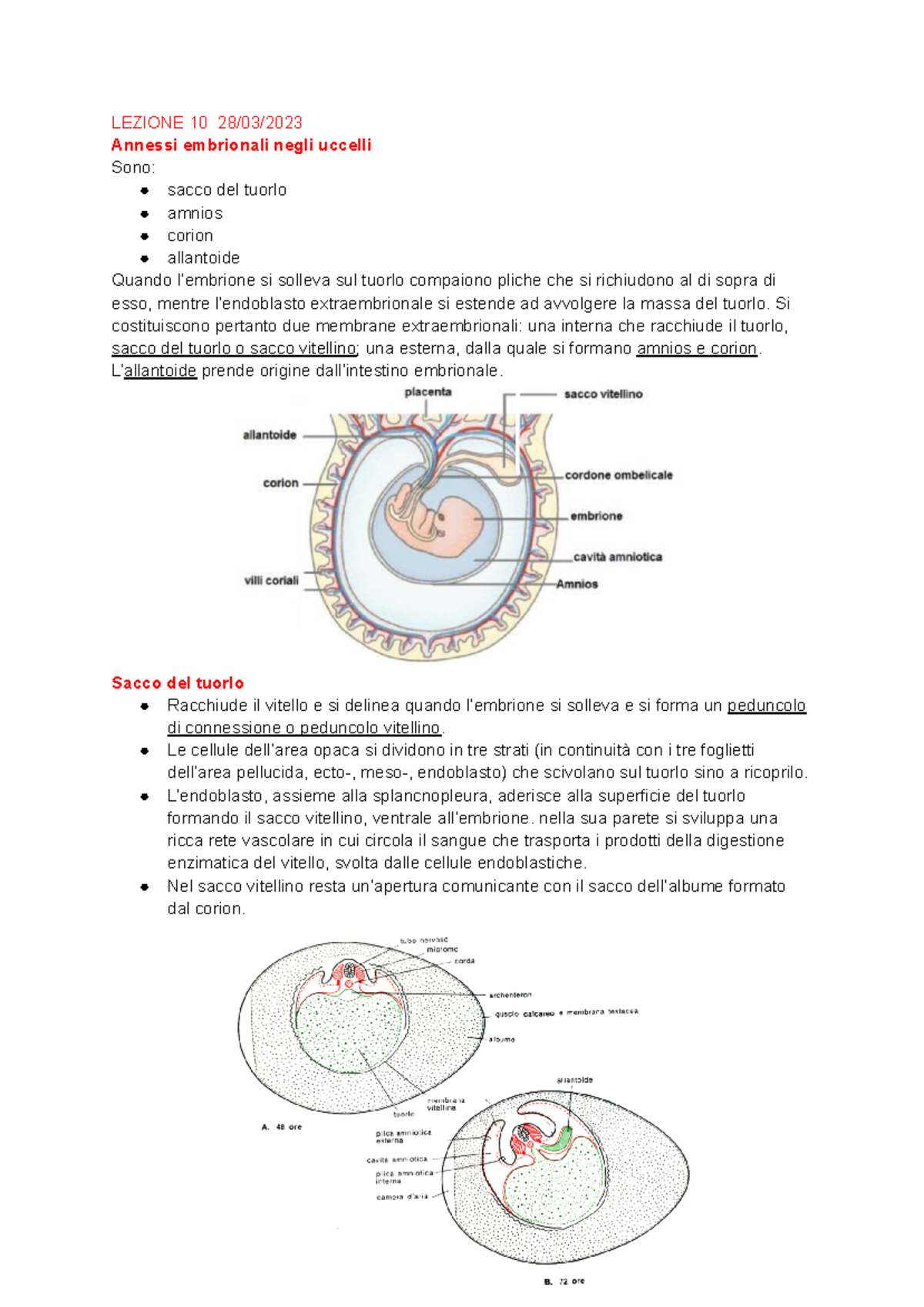 Anatomia Comparata ED Embriologia prof Cretì lezione 10 - LEZIONE 10 28 ...