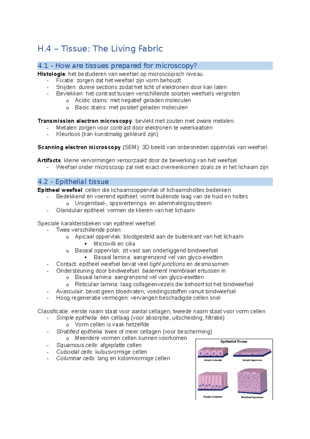 H.4 - Tissue the living fabric - H – Tissue: The Living Fabric 4 - How ...