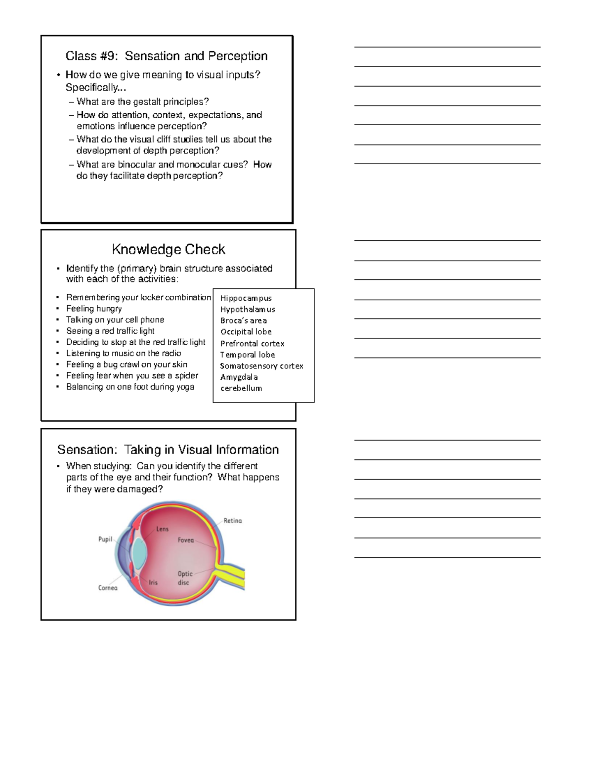 Class#9Note Taking - introductory psychology - Class #9: Sensation and ...