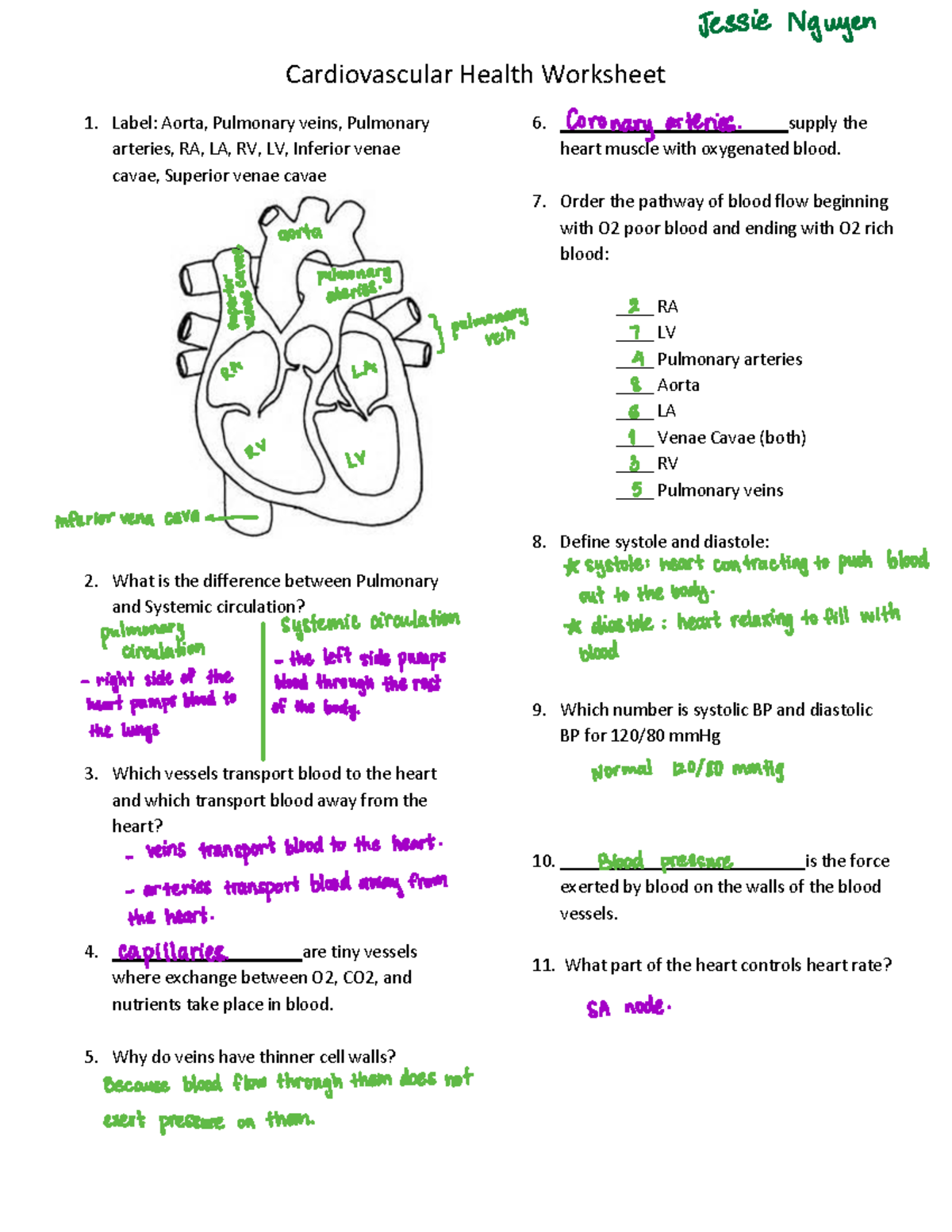 Week 4 Cardiovascular health worksheet - Cardiovascular Health ...