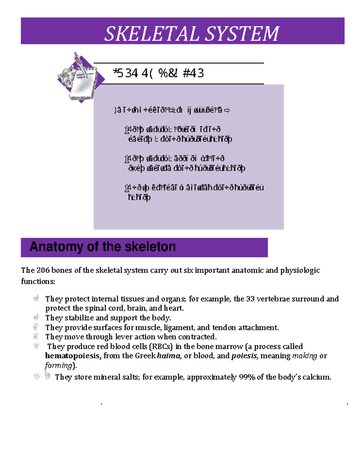 Skeletal system information book - The 206 bones of the skeletal system ...