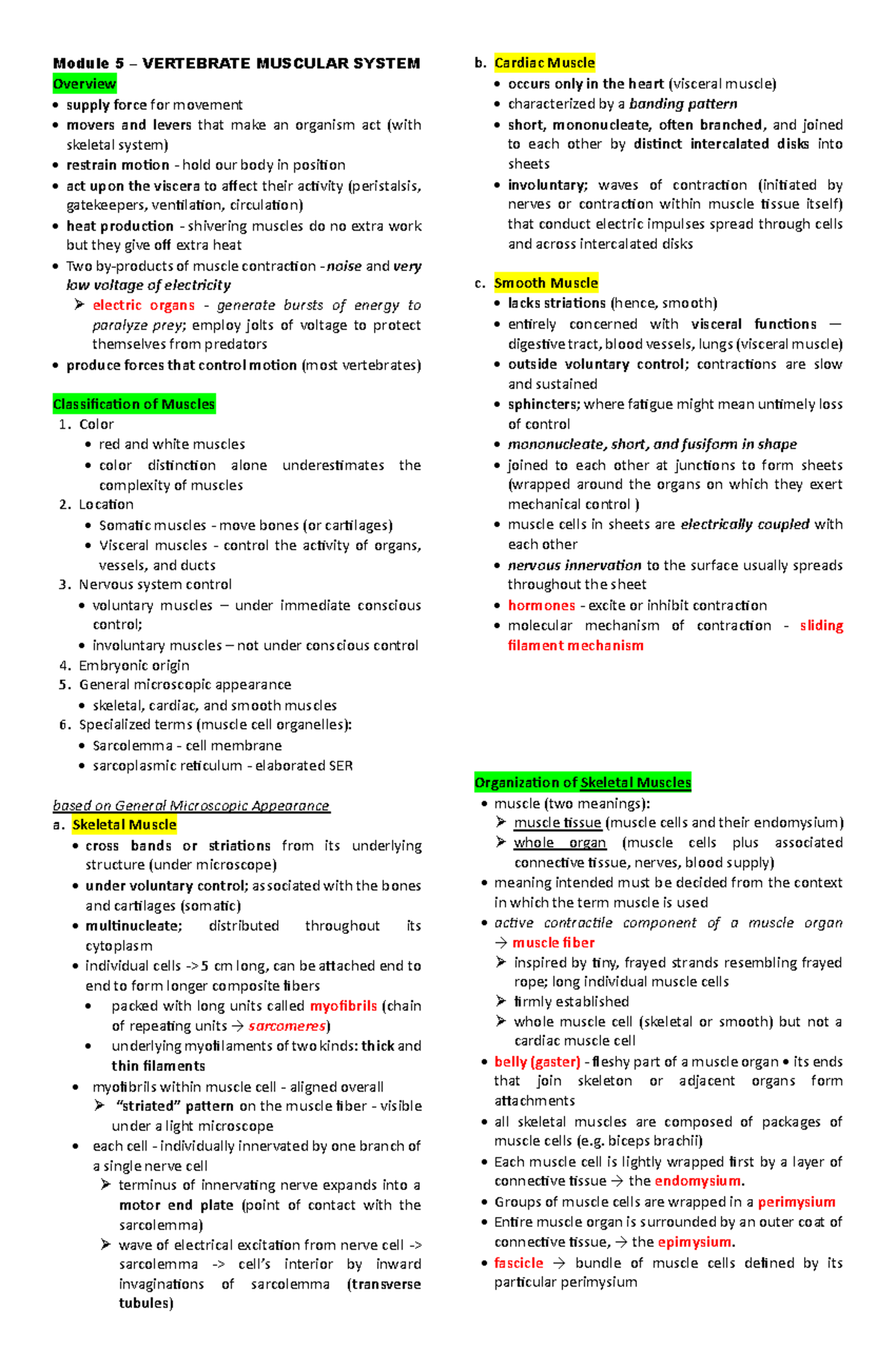 Notes on Vertebrate Muscular System - Module 5 – VERTEBRATE MUSCULAR ...