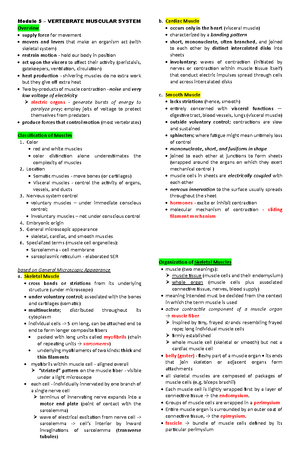 Notes on Vertebrate Respiratory System - VERTEBRATE RESPIRATORY SYSTEM ...