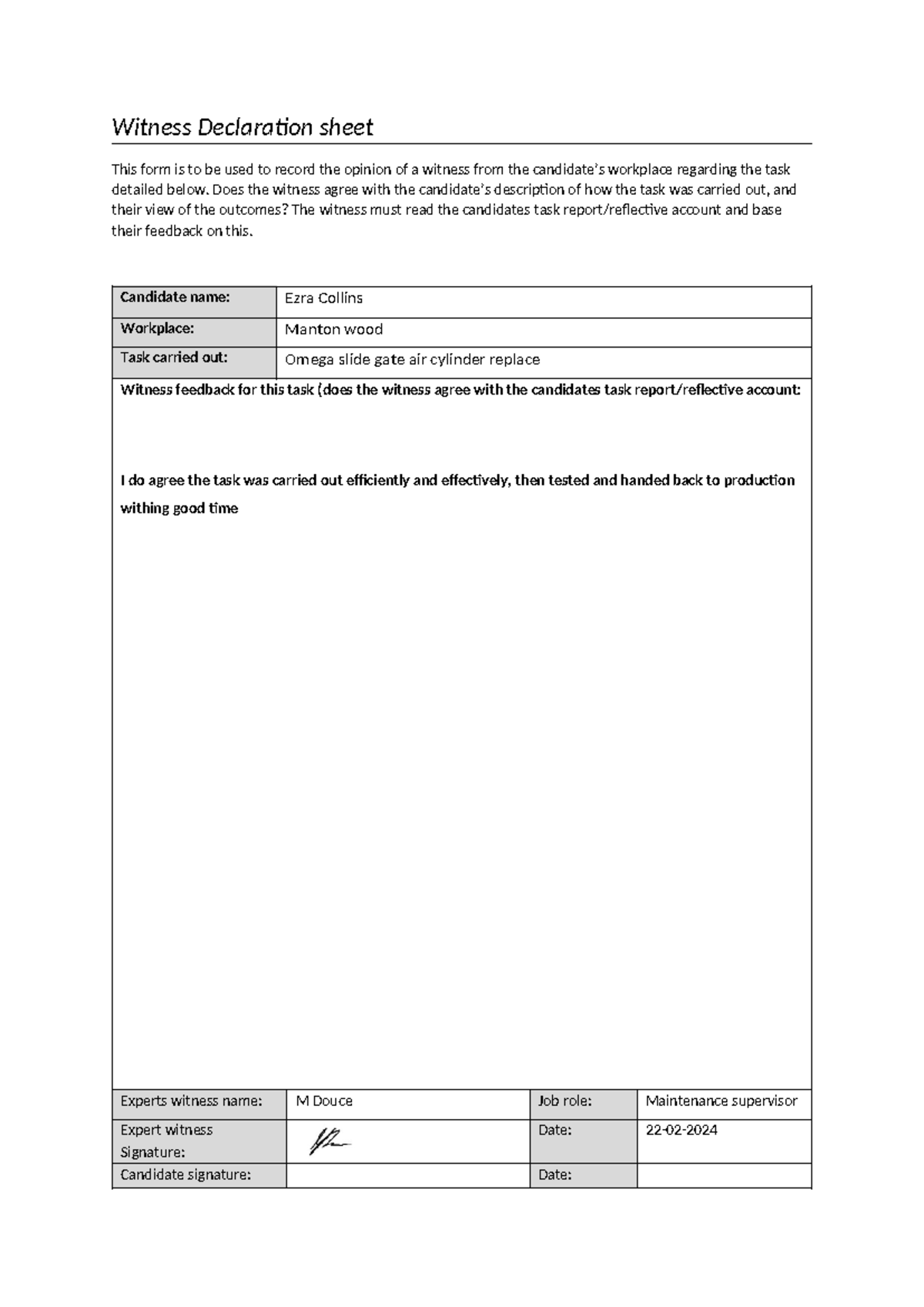Workplace witness statement air cylinder - Witness Declaration sheet ...