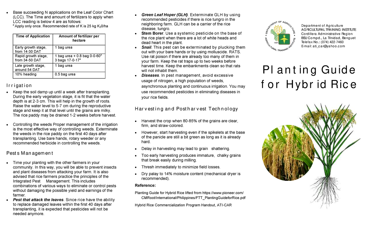 Planting Guide FOR Hybrid RICE - Base succeeding N applications on the ...