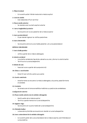 Escalas DE Conners PARA Padres Y Maestros Colores - ESCALA DE CONNERS ...