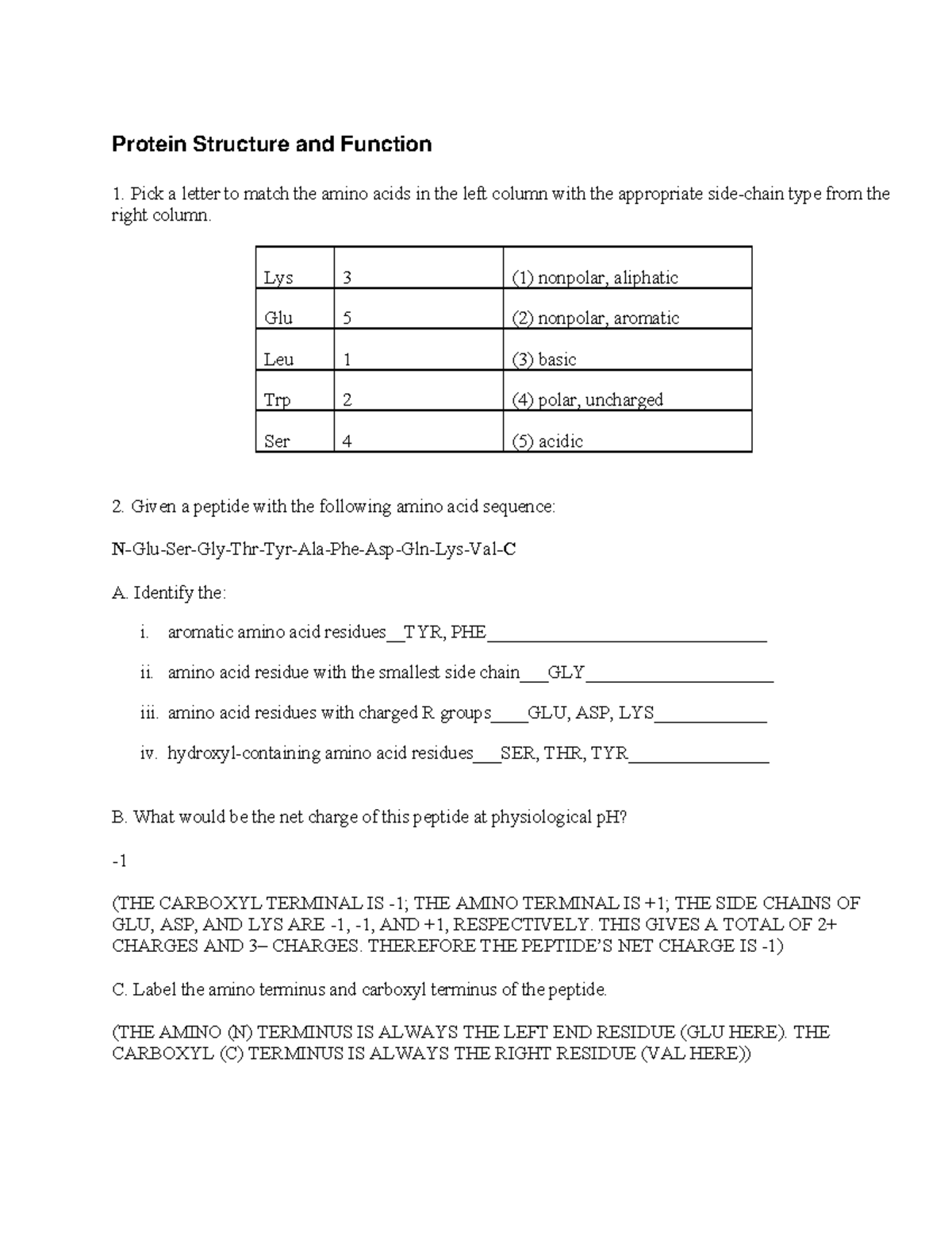 Protein Structure and Function-Answers - Protein Structure and Function ...
