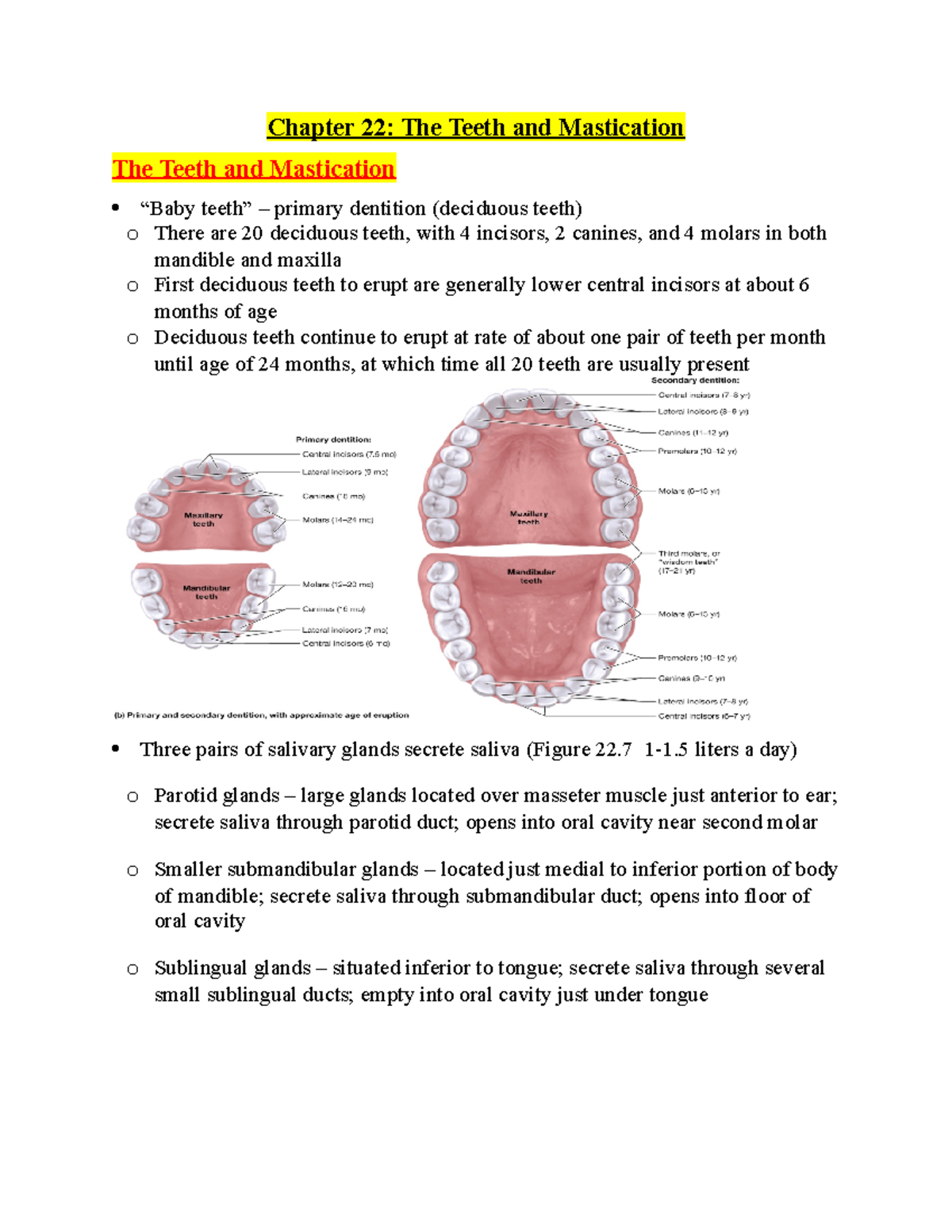 Chapter 22 23 - Mr. Aguilar Class - Chapter 22: The Teeth and ...
