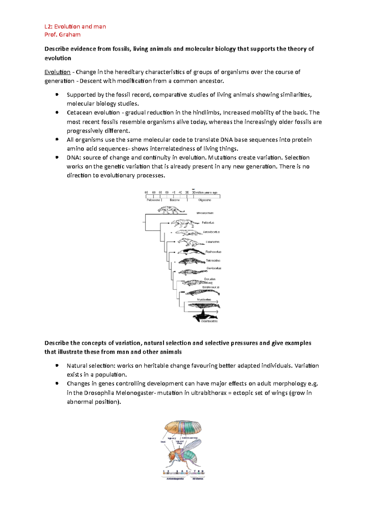 2 Evolution and man - L2: Evolution and man Prof. Graham Describe ...