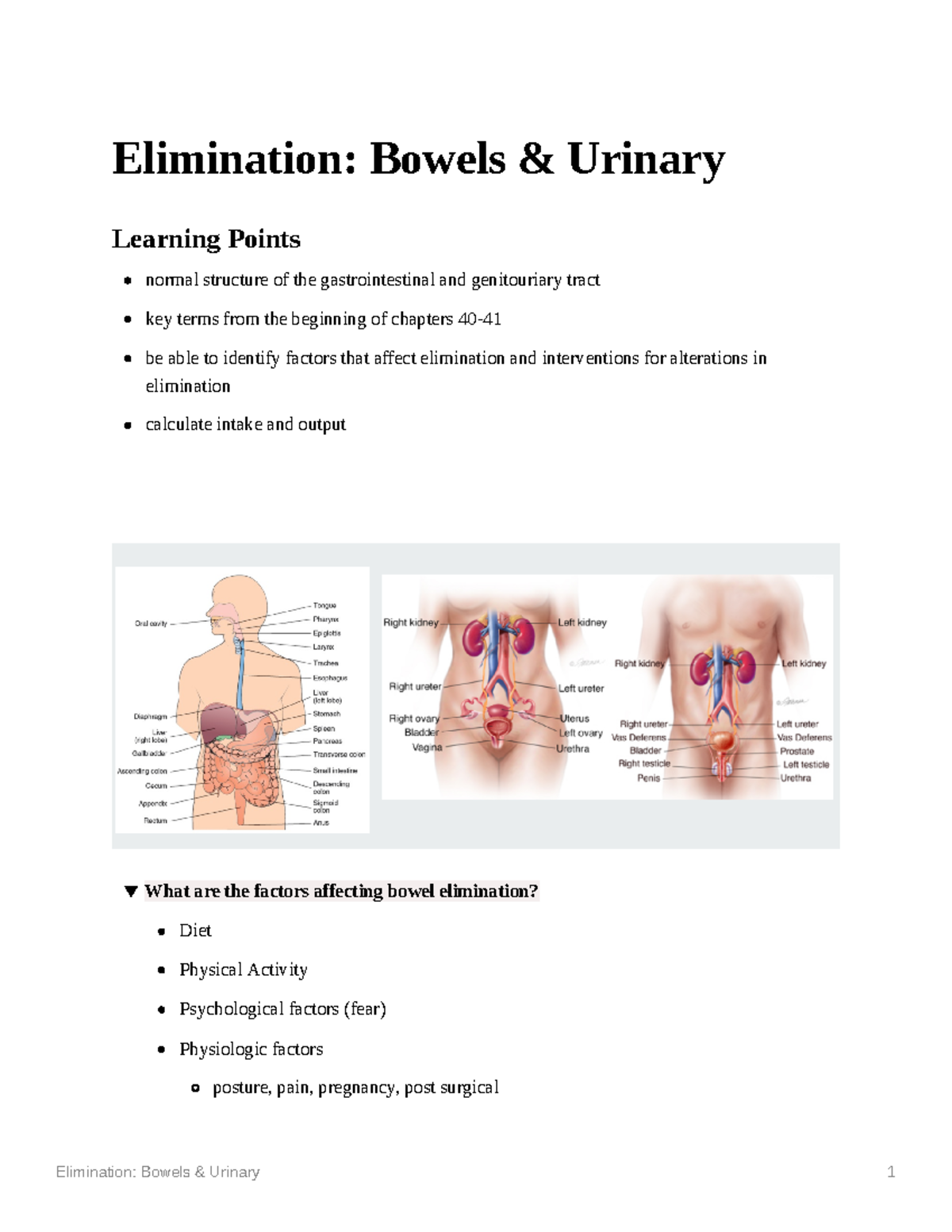 Elimination Bowels Urinary - Elimination: Bowels & Urinary Learning ...