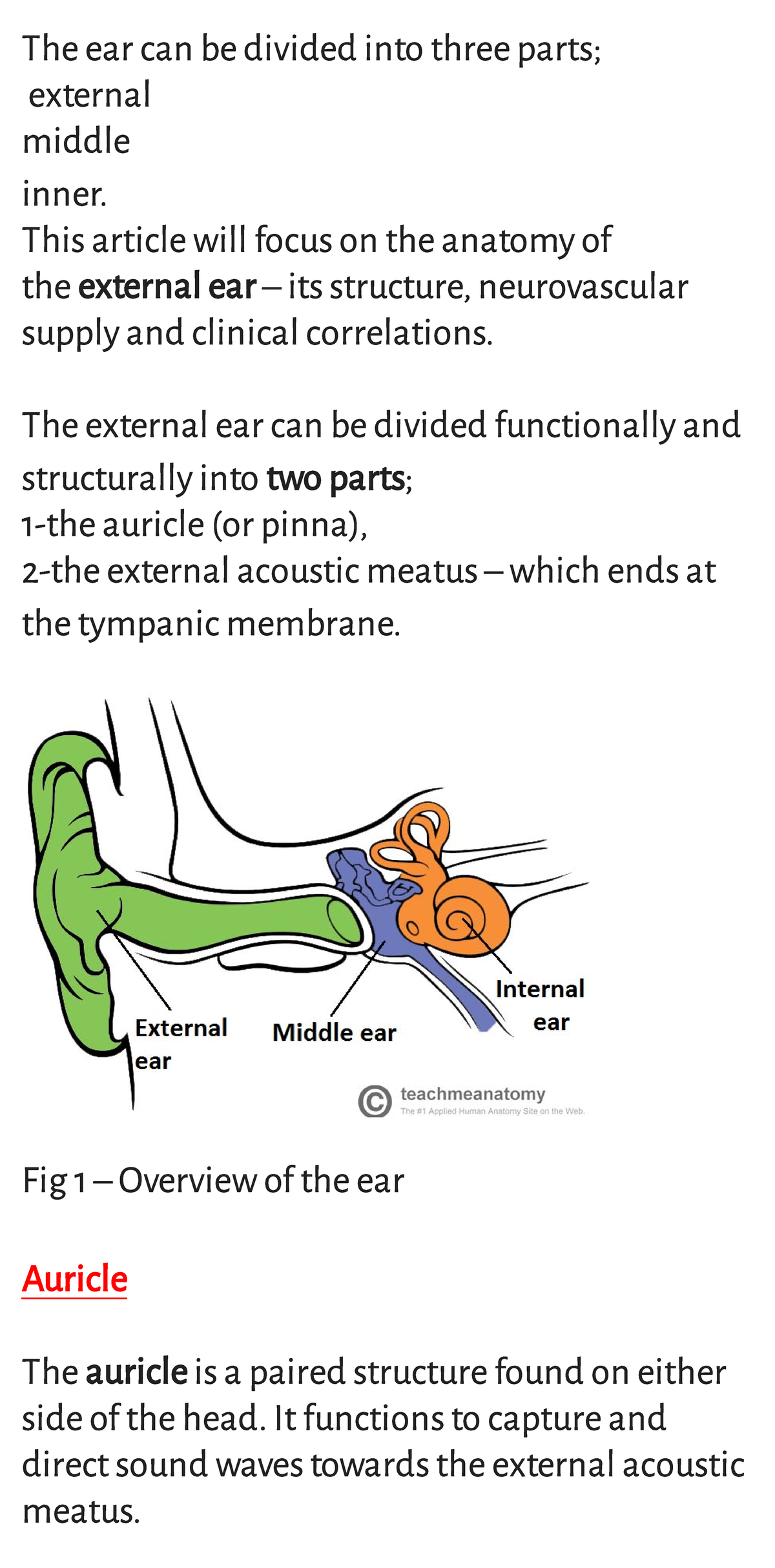External ear anatomy bones parts muscles innervation and its clinical ...