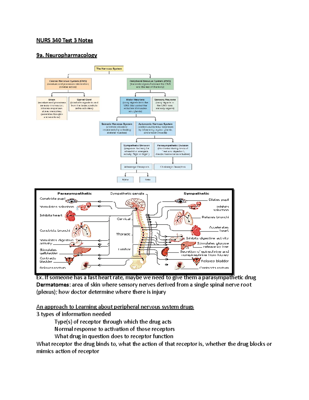 Patho Test 3 Notes - Outline for all the drugs and processes that ...