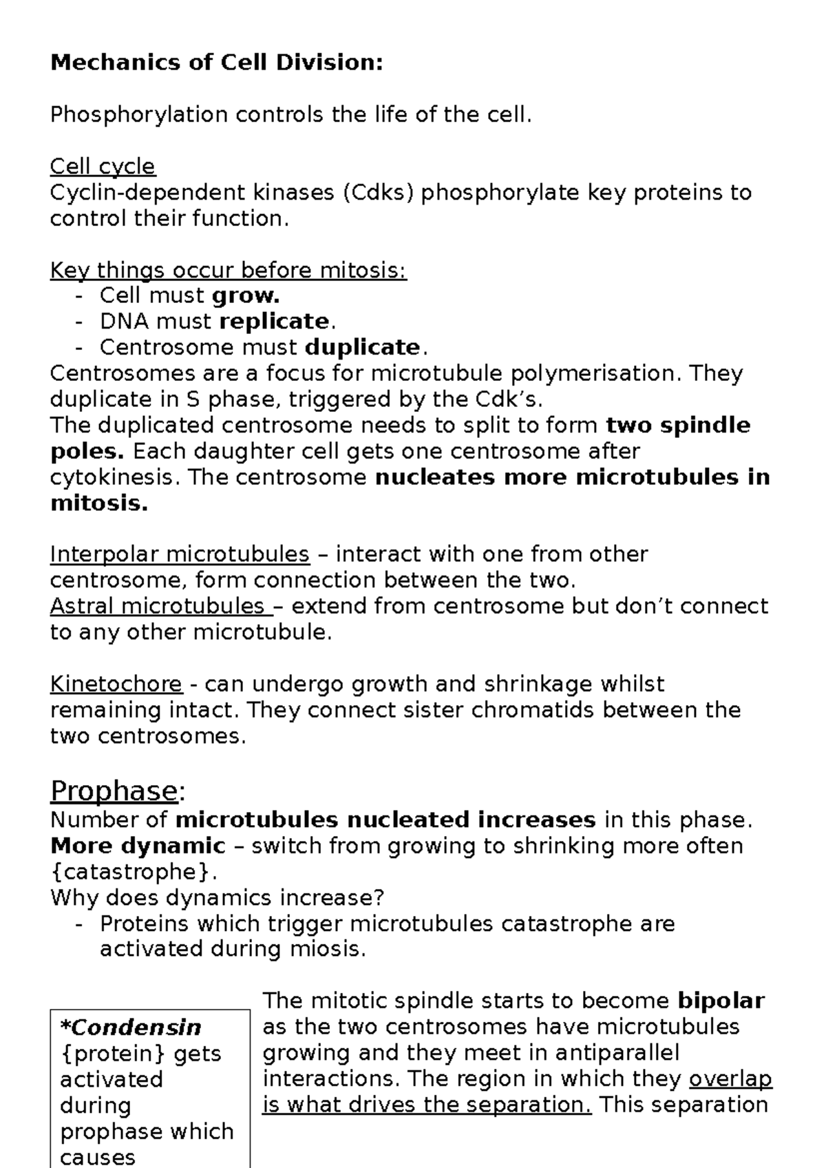 Mechanics of Cell Division - Prophase and Pro-metaphase - Mechanics of ...