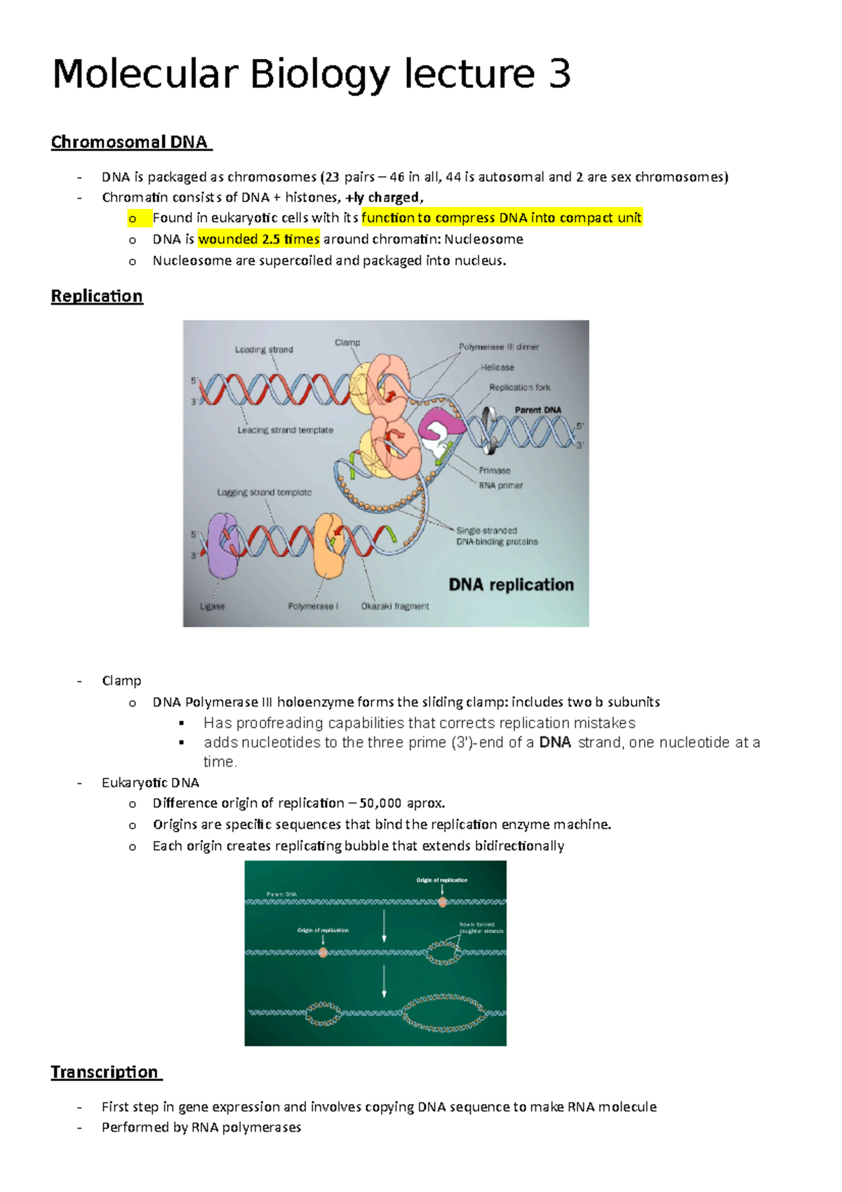 Molecular Biology lecture 3 - Replication Clamp o DNA Polymerase III ...