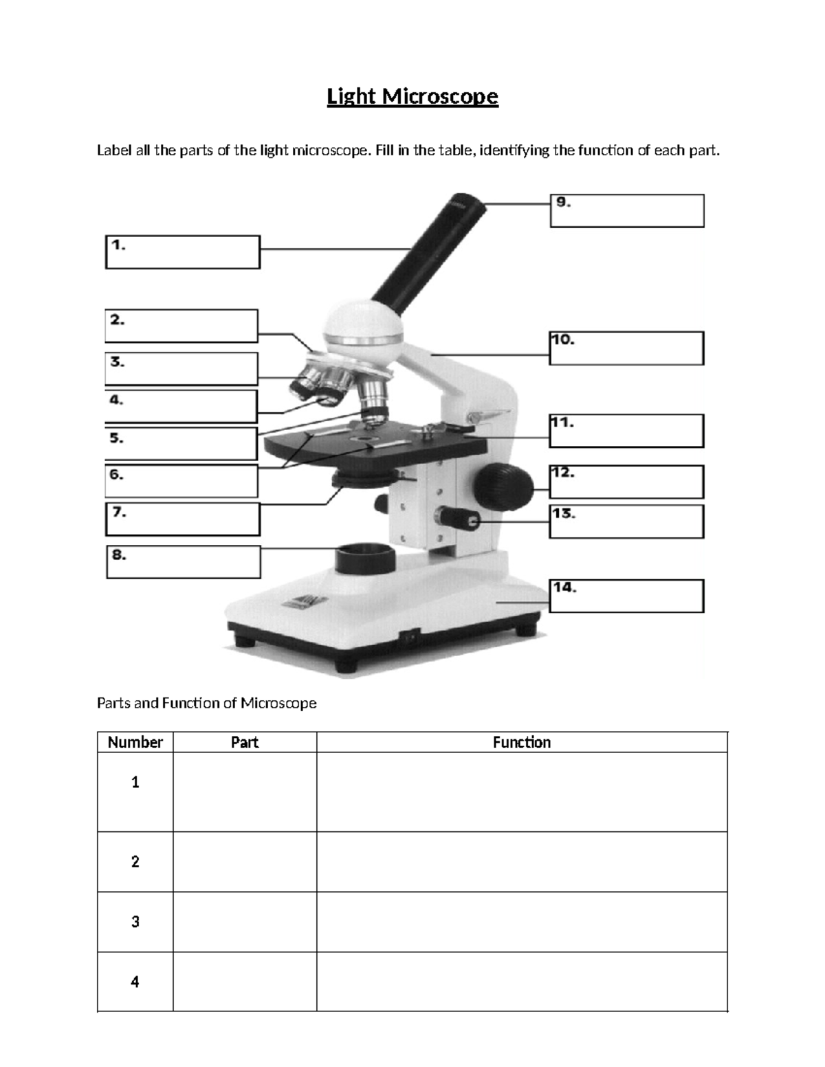 Light Microscope Worksheet - BIO001 - Light Microscope Label all the ...