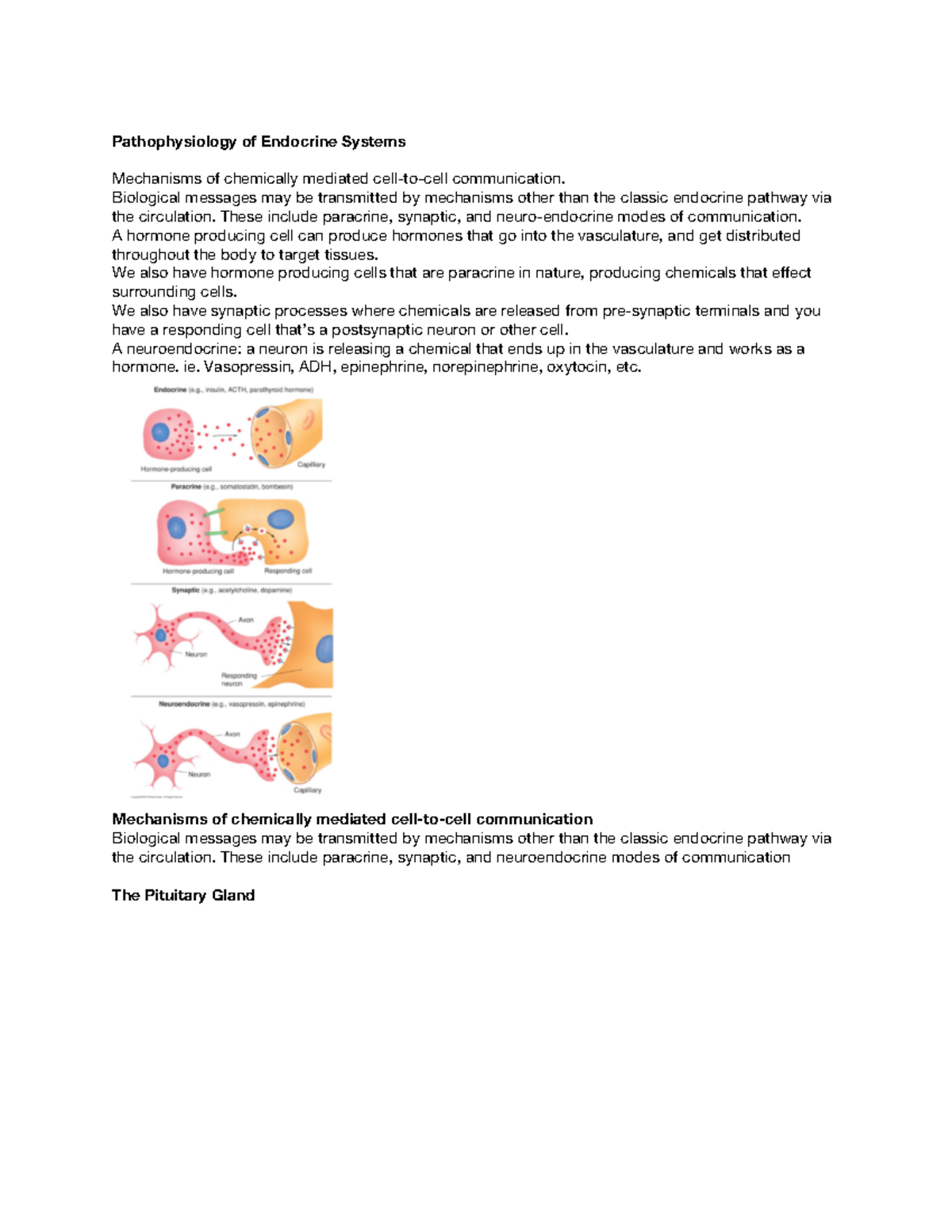 Pathophysiology of Endocrine Systems Lecture Notes - Pathophysiology of ...