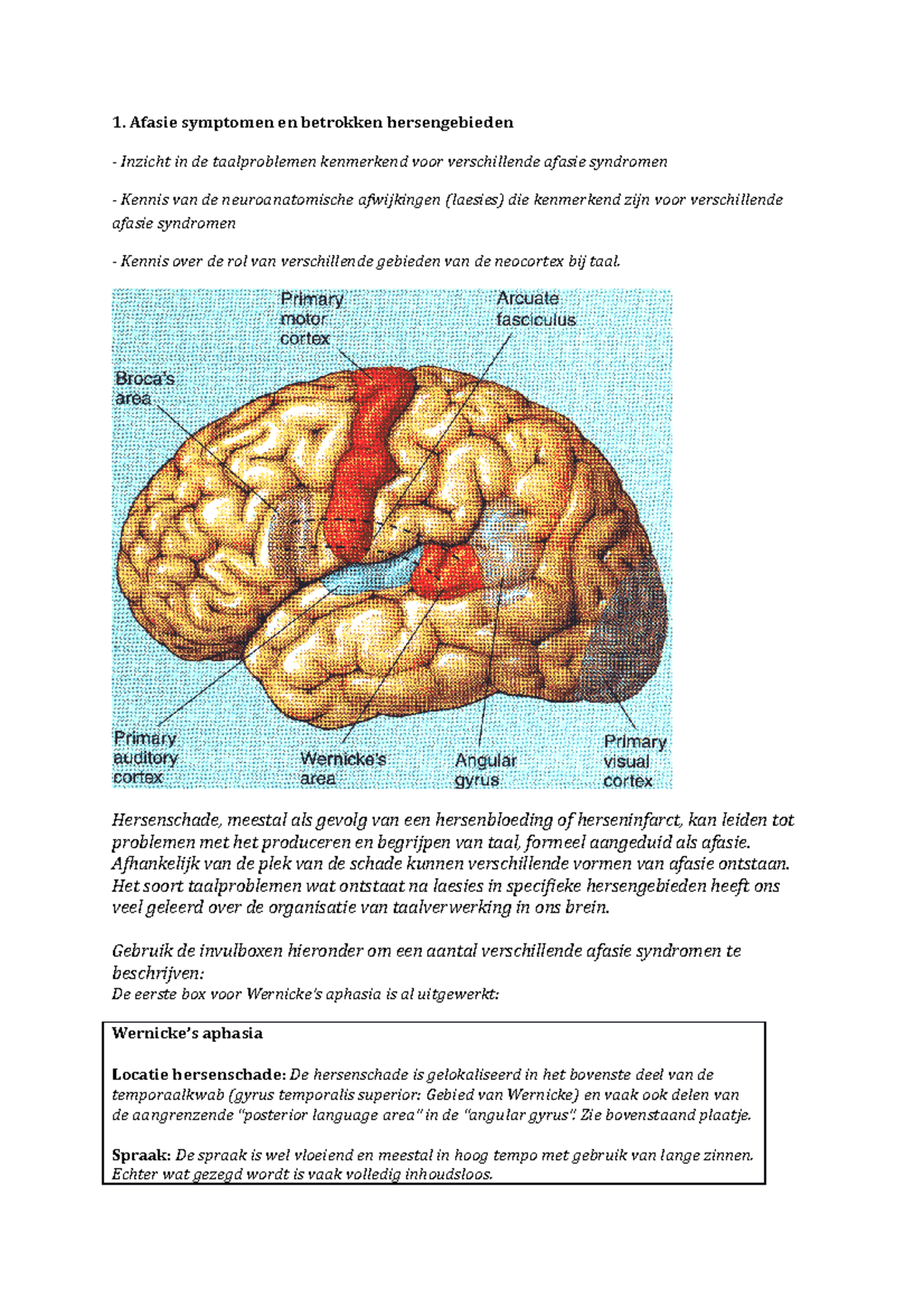 Overzicht Afasie - Afasie symptomen en betrokken hersengebieden Inzicht ...